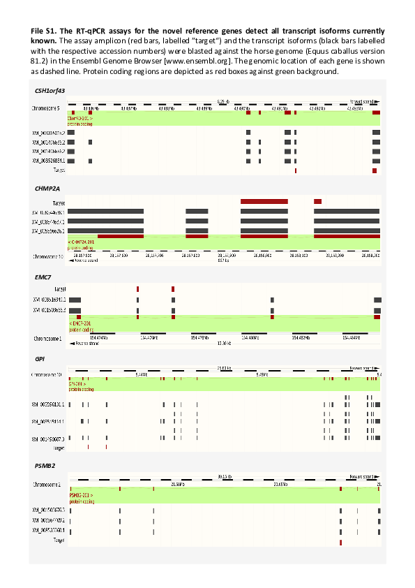 (PDF) The Orthology Clause in the Next Generation Sequencing Era: Novel Reference Genes ...