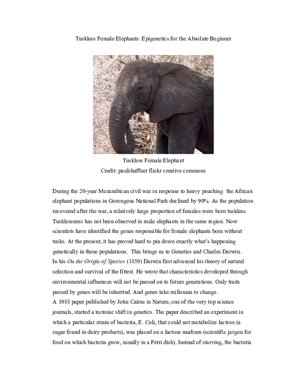 (DOC) Tuskless Female Elephants: Epigenetics for the Absolute Beginner
