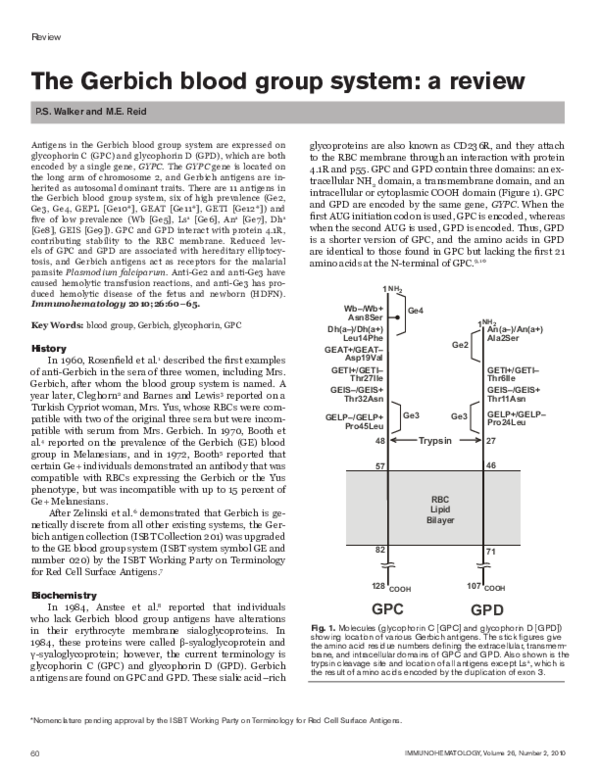 (PDF) The Gerbich blood group system: a review