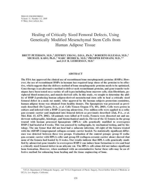 (PDF) Healing of critically sized femoral defects, using genetically ...