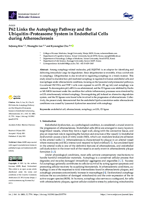(PDF) P62 Links the Autophagy Pathway and the Ubiquitin–Proteasome ...