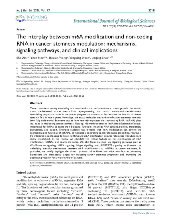 (PDF) The interplay between m6A modification and non-coding RNA in cancer stemness modulation ...