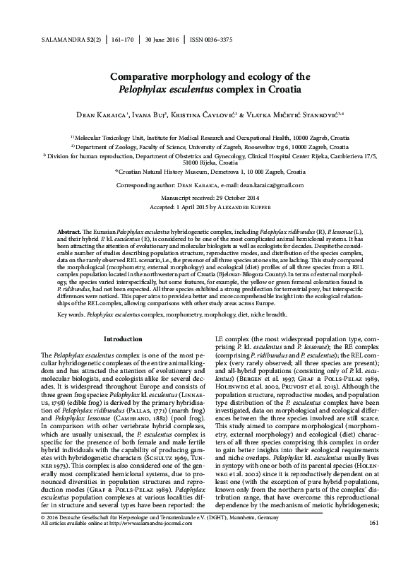 (PDF) Comparative morphology and ecology of the Pelophylax esculentus ...