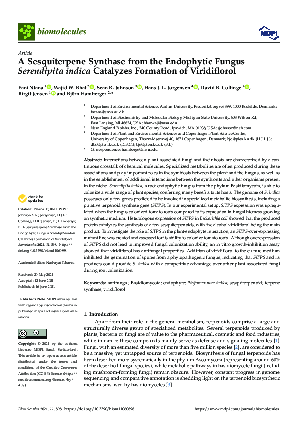 (PDF) A Sesquiterpene Synthase from the Endophytic Fungus Serendipita indica Catalyzes Formation ...