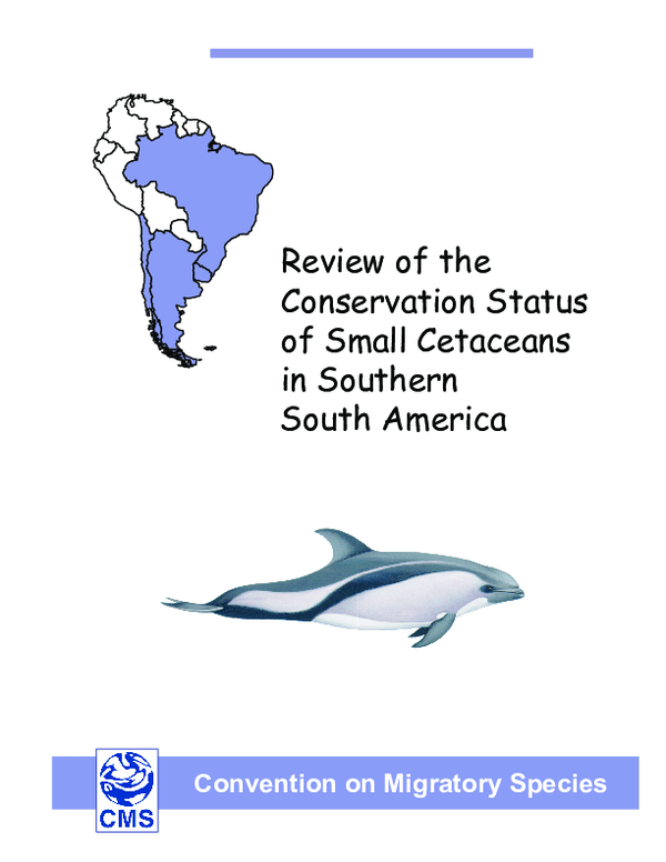 (PDF) Review of the conservation status of small cetaceans in southern ...