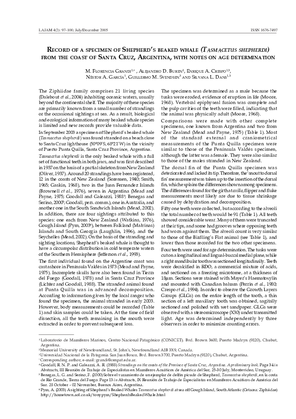 (PDF) Record of a specimen of Shepherd's beaked whale (Tasmacetus ...