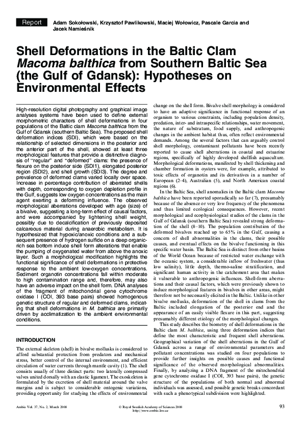 (PDF) Shell Deformations in the Baltic Clam Macoma balthica from ...