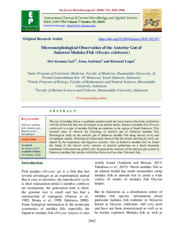 (PDF) Micromorphological Observation of the Anterior Gut of Sulawesi ...