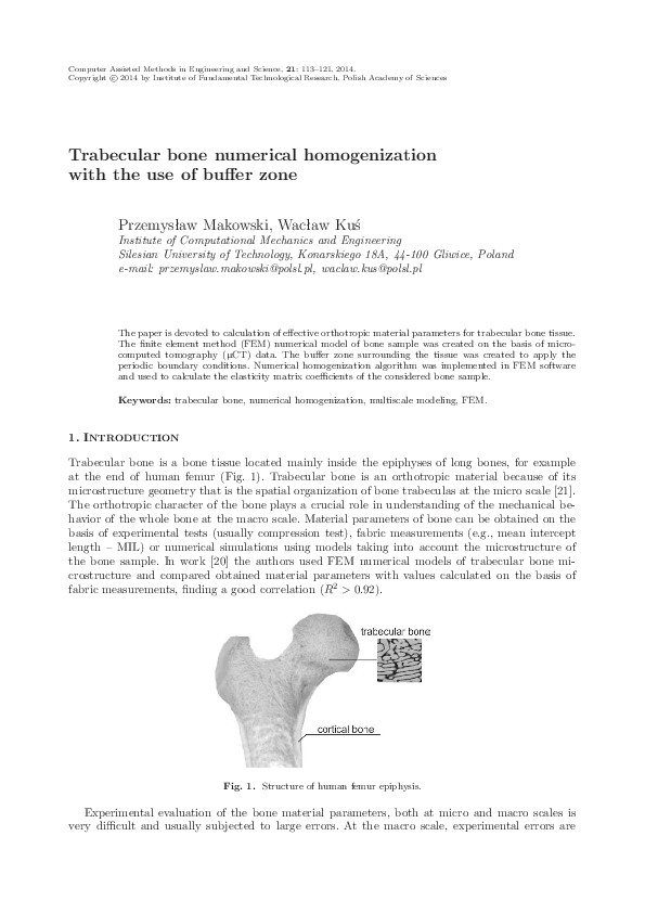 (PDF) Trabecular bone numerical homogenization with the use of buffer zone