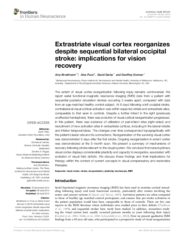 (PDF) Extrastriate visual cortex reorganizes despite sequential bilateral occipital stroke ...