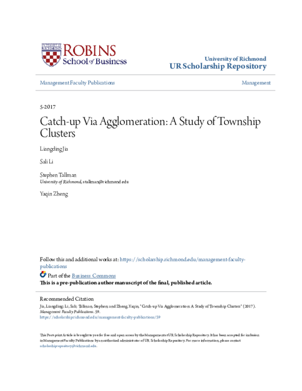 (PDF) Catch-up via agglomeration: A study of township clusters