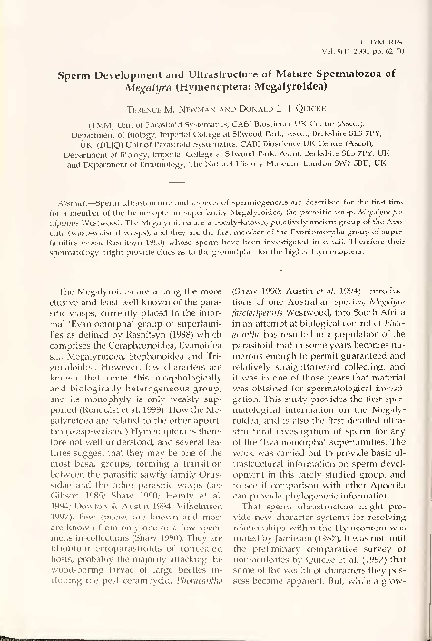 (PDF) Sperm development and ultrastructure of mature spermatozoa of ...