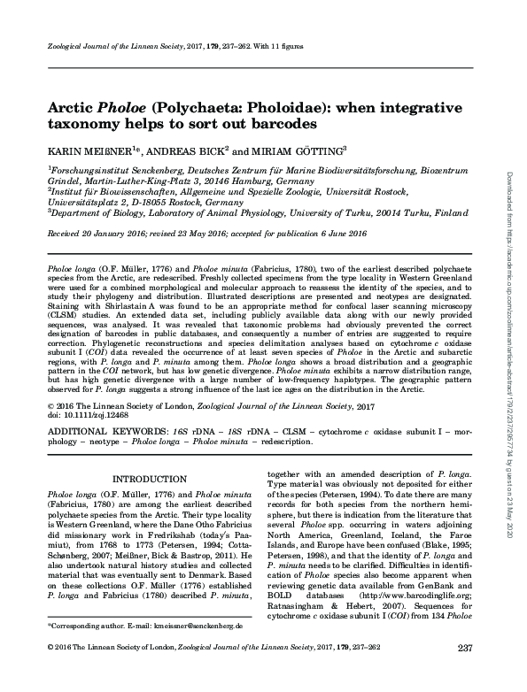 (PDF) ArcticPholoe(Polychaeta: Pholoidae): when integrative taxonomy ...