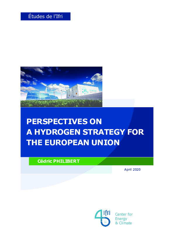 (PDF) Perspectives on a Hydrogen Strategy for the European Union