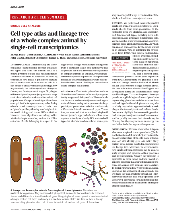 (PDF) Cell type atlas and lineage tree of a whole complex animal by ...