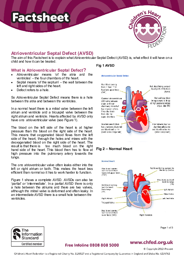 (PDF) Atrioventricular Septal Defect (AVSD)