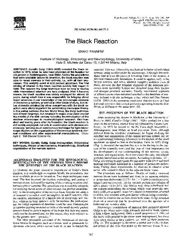 (PDF) The Black Reaction