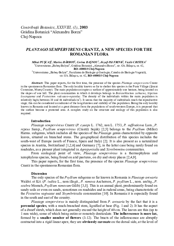 (PDF) Plantago Sempervirens Crantz, a New Species for the Romanian Flora