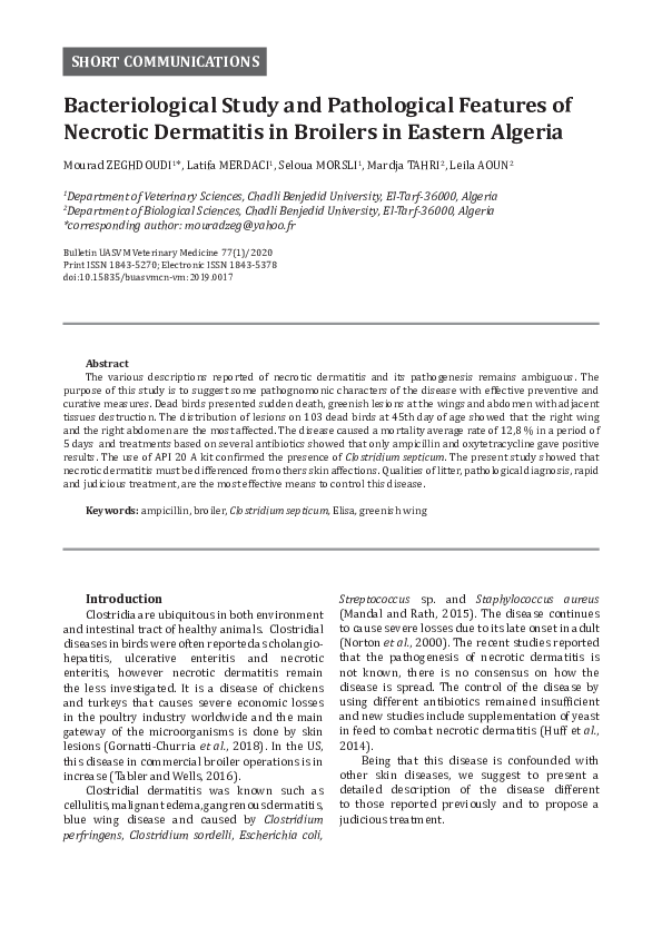 (PDF) Bacteriological Study and Pathological Features of Necrotic ...