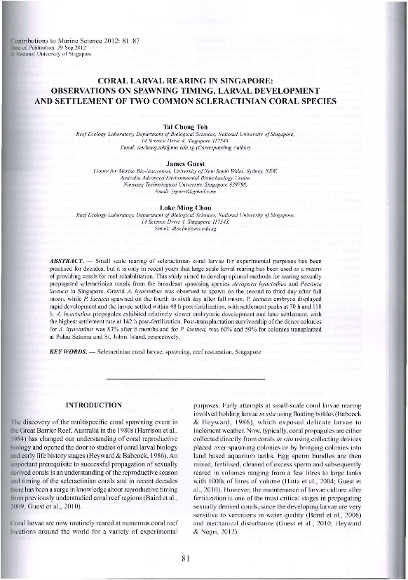 (PDF) Coral larval rearing in Singapore: Observations on spawning ...