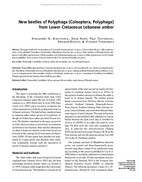 (PDF) New beetles of Polyphaga (Coleoptera, Polyphaga) from Lower ...