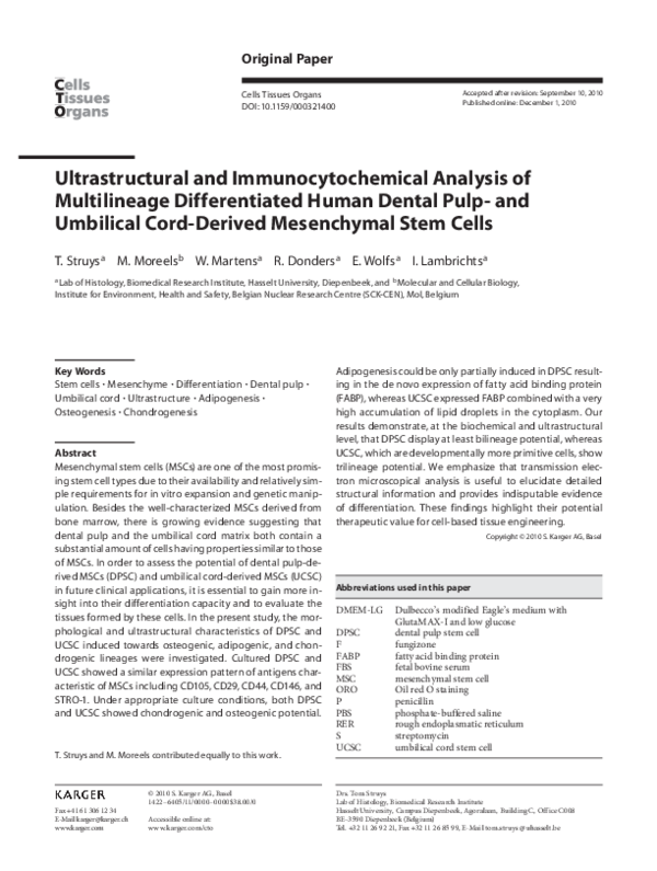 (PDF) Ultrastructural and immunocytochemical analysis of the circuitry of two putative ...