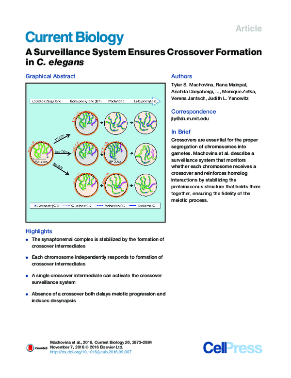 (PDF) A Surveillance System Ensures Crossover Formation in C. elegans ...