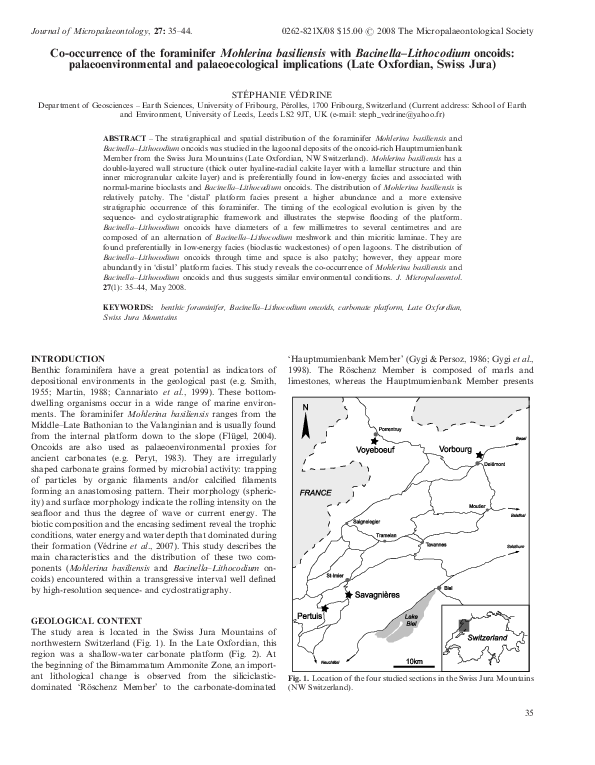 (PDF) Co-occurrence of the foraminifer Mohlerina basiliensis with ...