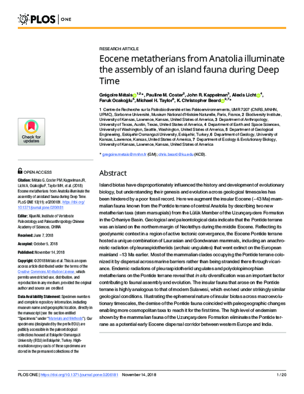 (PDF) Eocene metatherians from Anatolia illuminate the assembly of an ...