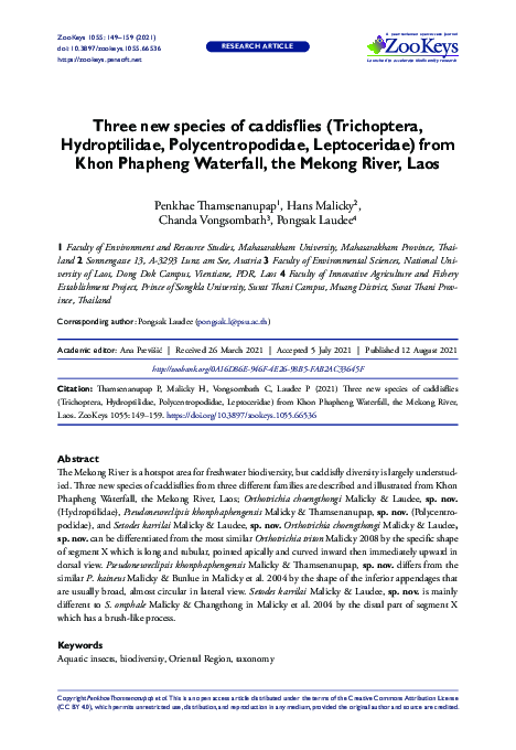 (PDF) Three new species of caddisflies (Trichoptera, Hydroptilidae ...