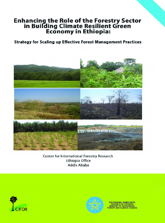 (PDF) Enhancing the Role of the Forestry Sector in Building Climate ...