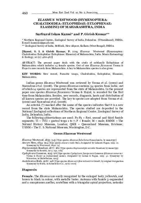 (PDF) Elasmus westwood (Hymenoptera: Chalcidoidea: Eulophidae ...