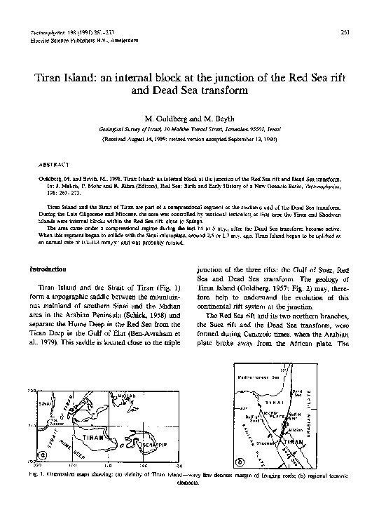 (PDF) Tiran island: an internal block at the junction of the Red Sea ...