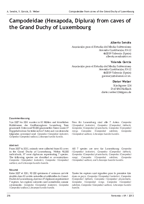 (PDF) Campodeidae (Hexapoda, Diplura) from caves of the Grand Duchy of ...