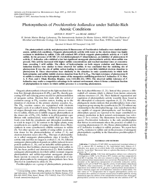 (PDF) Photosynthesis of Prochlorothrix hollandica under Sulfide-Rich ...