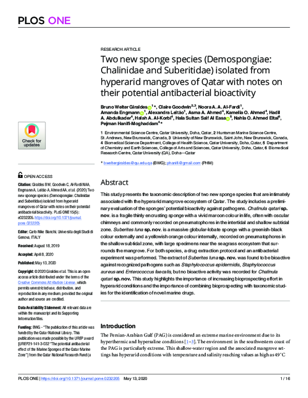 (PDF) Two new sponge species (Demospongiae: Chalinidae and Suberitidae ...