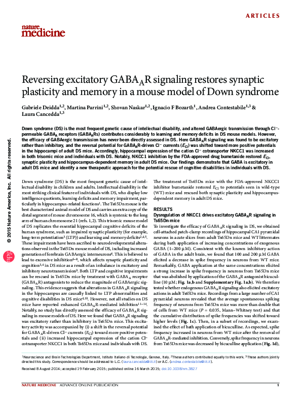 (PDF) Reversing excitatory GABAAR signaling restores synaptic ... (PDF) Reversing excitatory GABAAR signaling restores synaptic ...