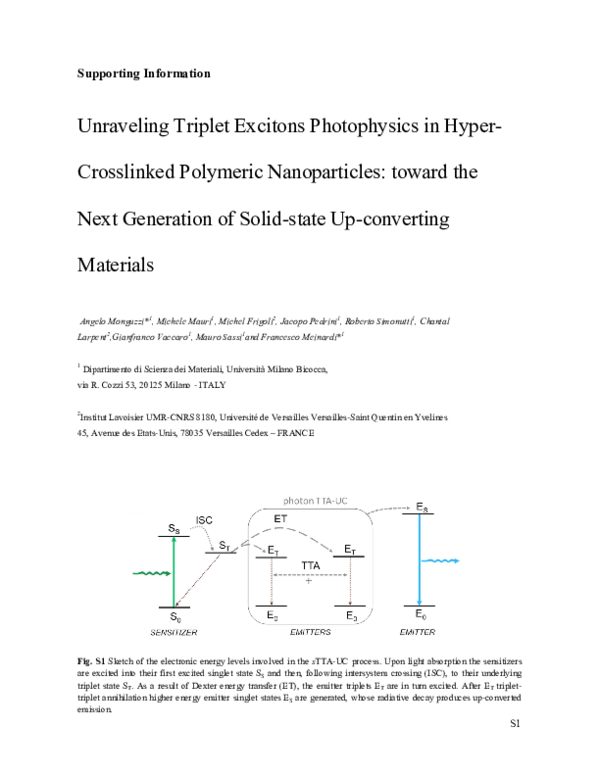 (PDF) Unraveling Triplet Excitons Photophysics in Hyper-Cross-Linked Polymeric Nanoparticles ...