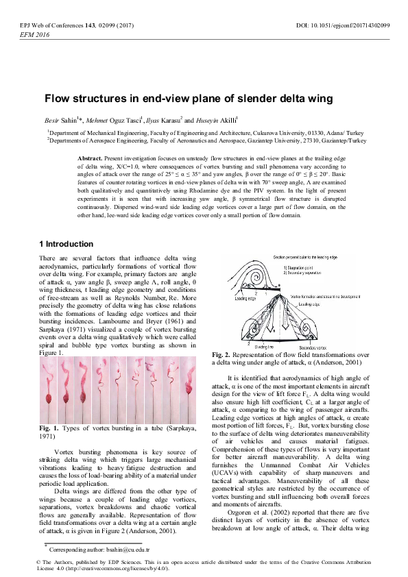 (PDF) Flow structures in end-view plane of slender delta wing | Besir ...