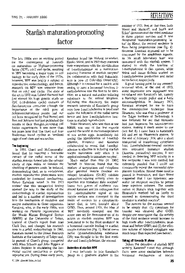 (PDF) Starfish maturation-promoting factor