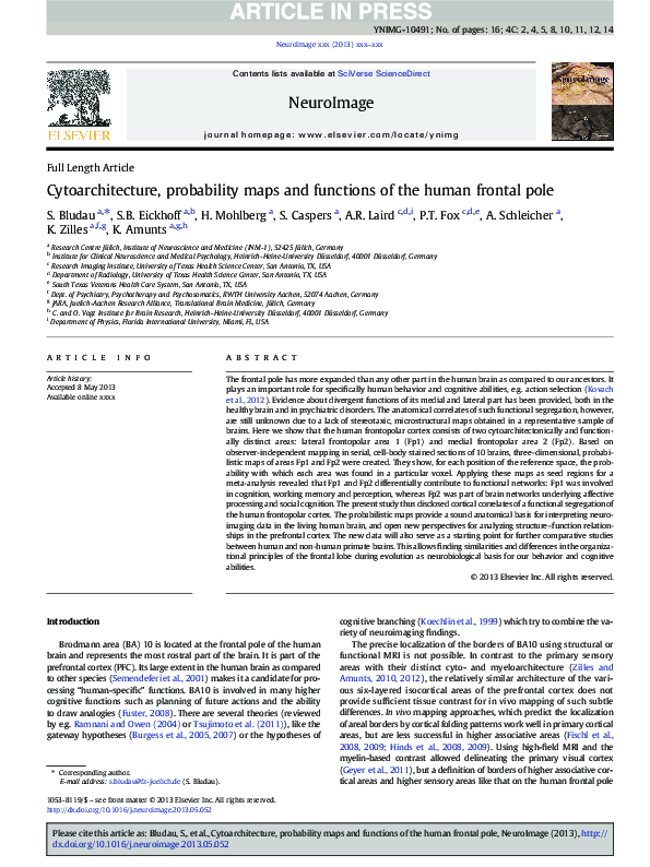 (PDF) Cytoarchitecture, probability maps and functions of the human ...