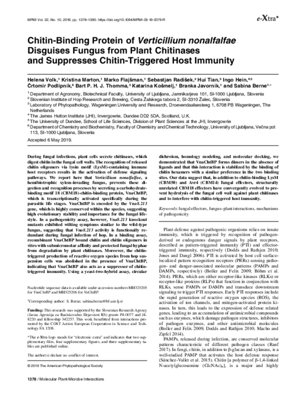(PDF) Chitin-Binding Protein of Verticillium nonalfalfae Disguises ...