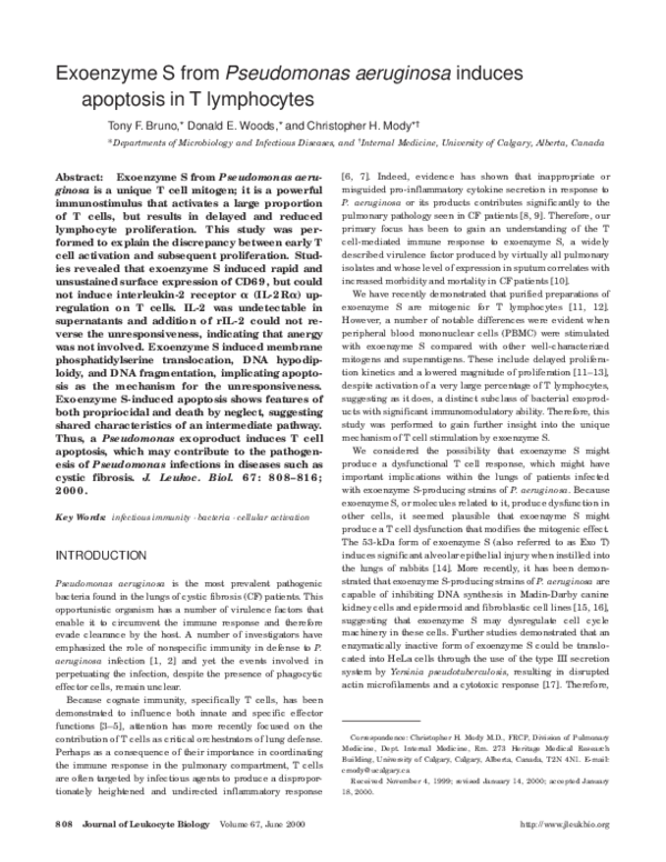 (PDF) Exoenzyme S from Pseudomonas aeruginosa induces apoptosis in T ...