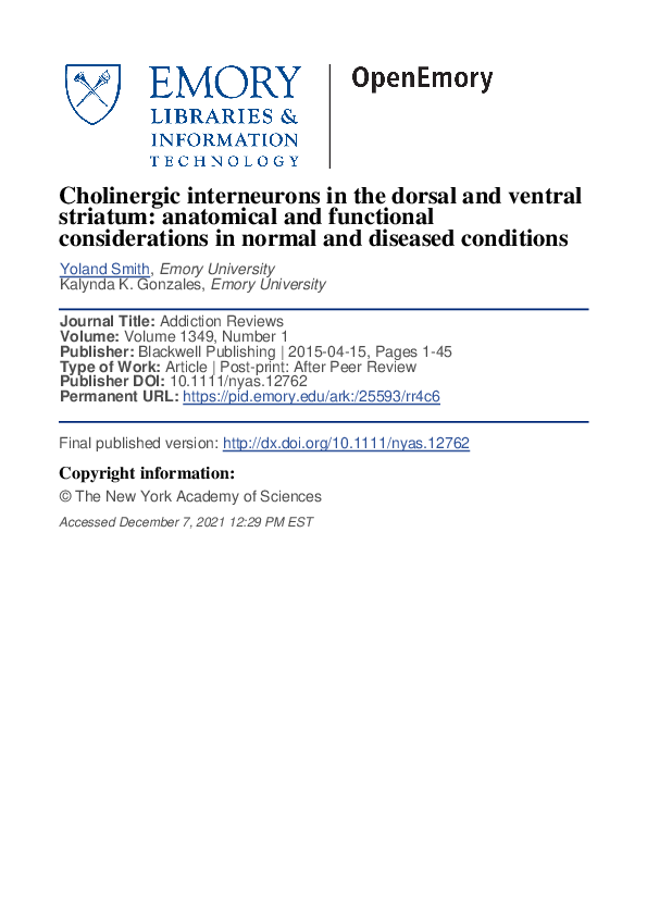 (PDF) Cholinergic interneurons in the dorsal and ventral striatum ...