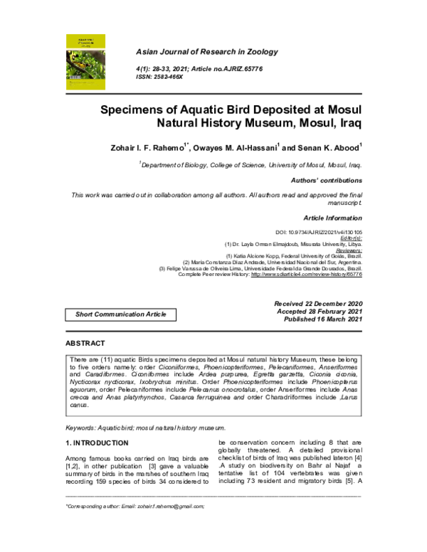(PDF) Specimens of Aquatic Bird Deposited at Mosul Natural History ...