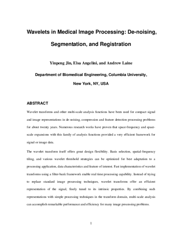 (PDF) Wavelets in medical image processing: denoising, segmentation, and registration