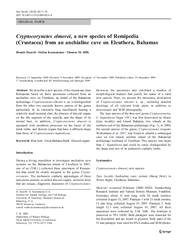 (PDF) Cryptocorynetes elmorei, a new species of Remipedia (Crustacea ...