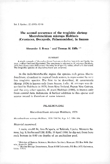 (PDF) The second occurrence of the troglobic shrimp Macrobrachium ...