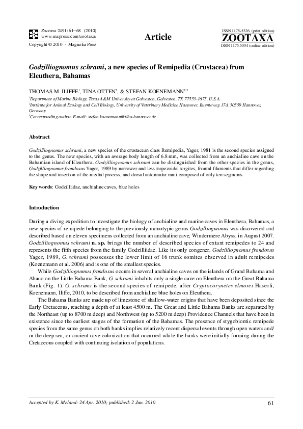 (PDF) Godzilliognomus schrami, a new species of Remipedia (Crustacea ...