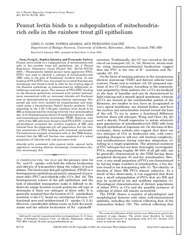 (PDF) Peanut lectin binds to a subpopulation of mitochondria-rich cells ...
